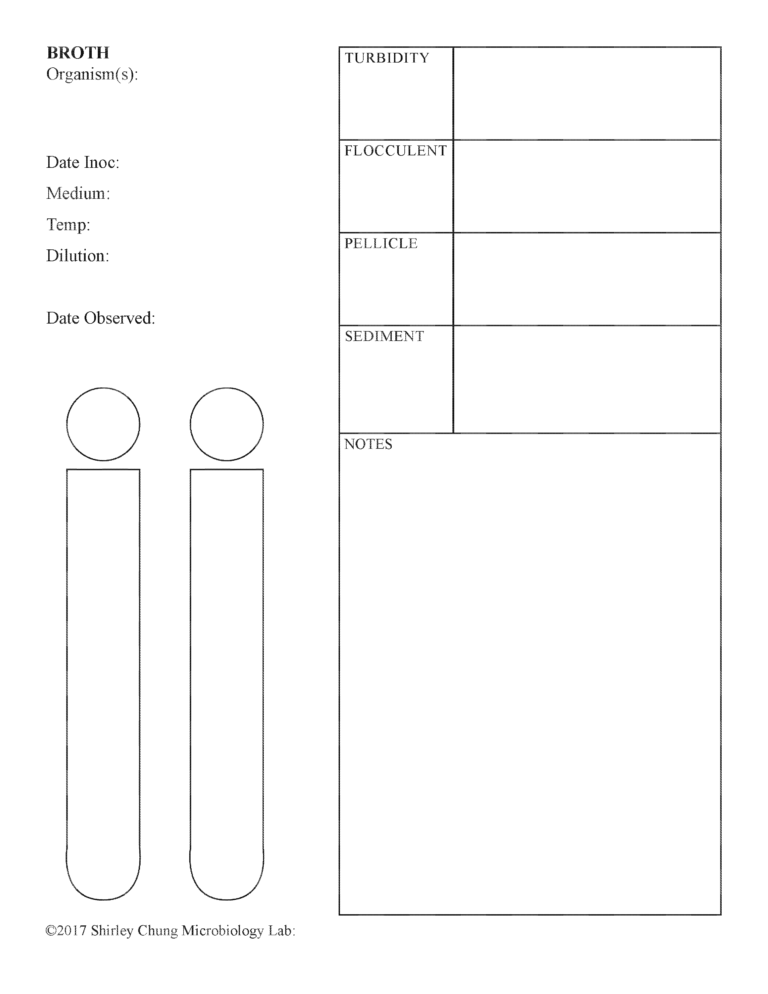 Microbiology: Lab forms I designed! – Basic Sciences
