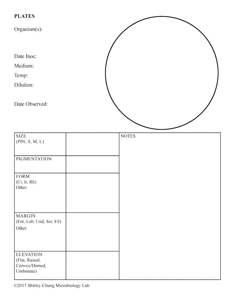 Microbiology: Lab forms I designed! – Basic Sciences