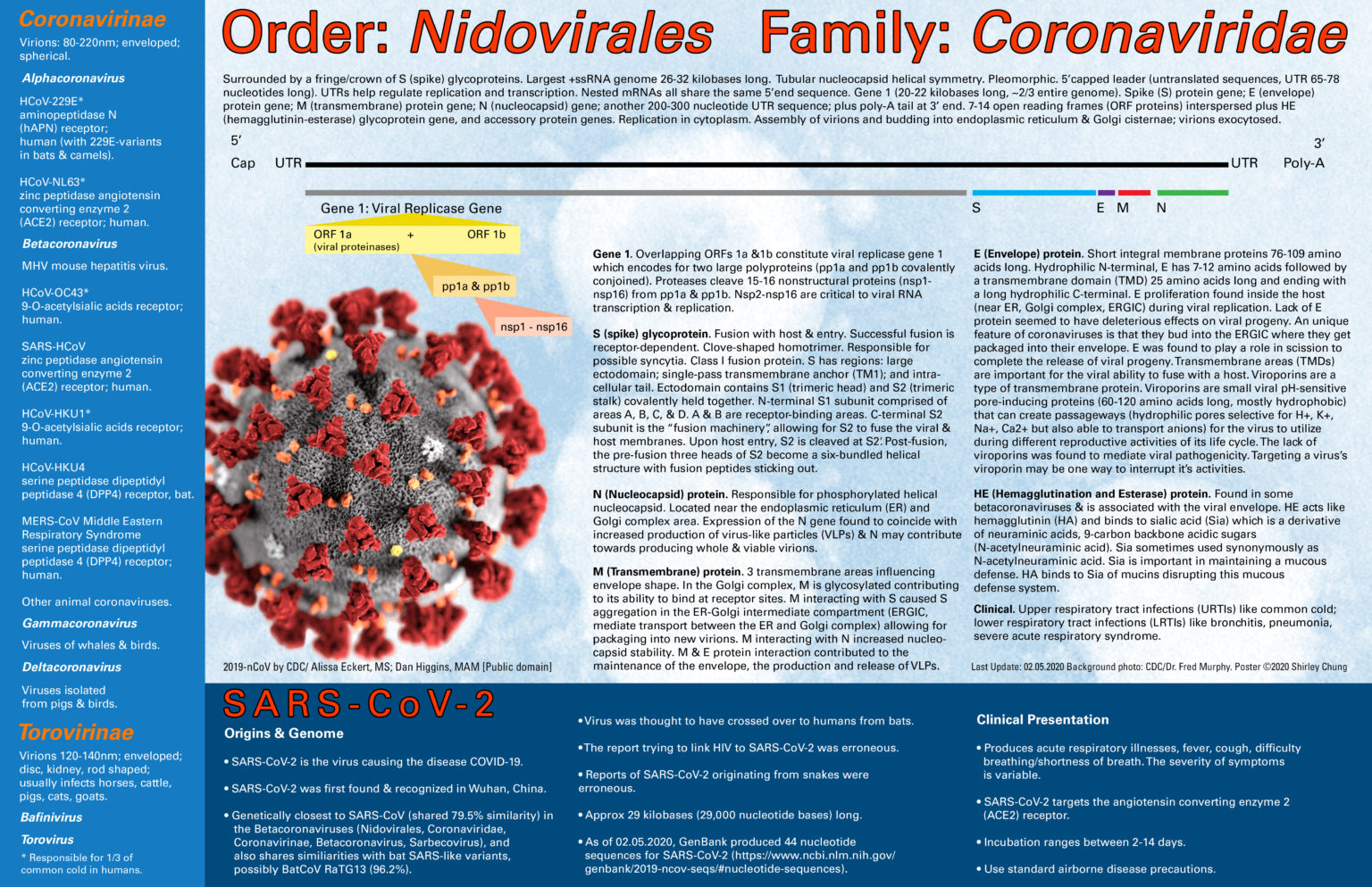 Coronaviruses: Poster presentation 02.05.2020 – Basic Sciences